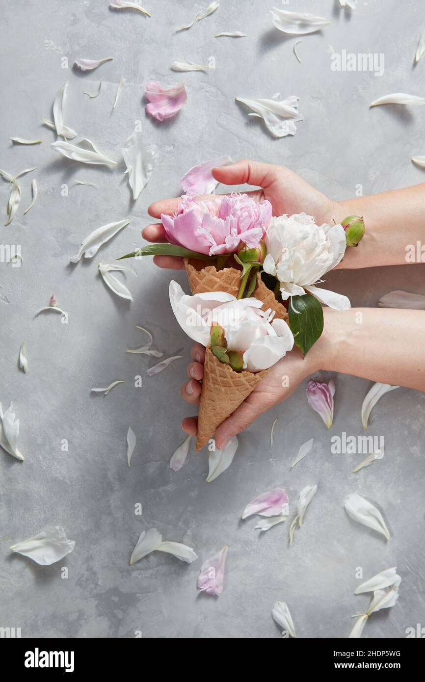 peony, summer, flower arrangement, florist, peonies, summers, flower ...