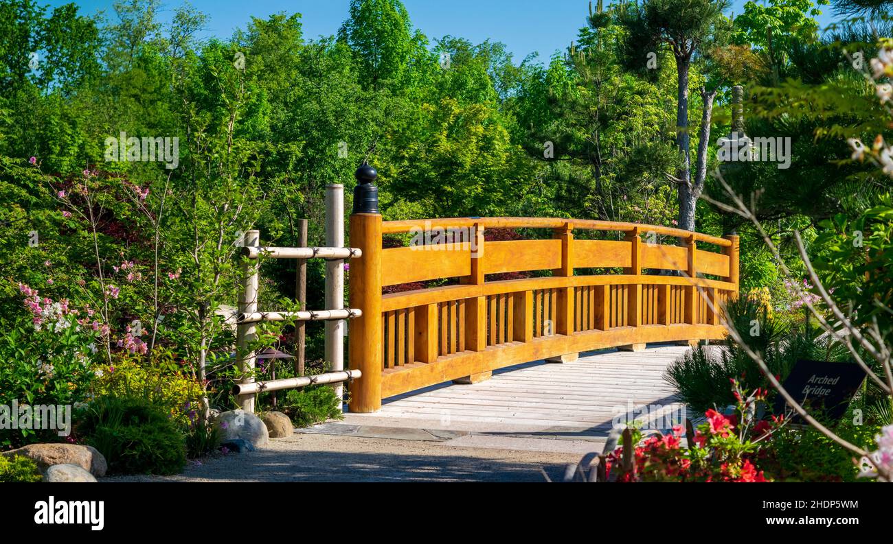 Ornamental wooden foot bridge in a a garden setting Stock Photo - Alamy