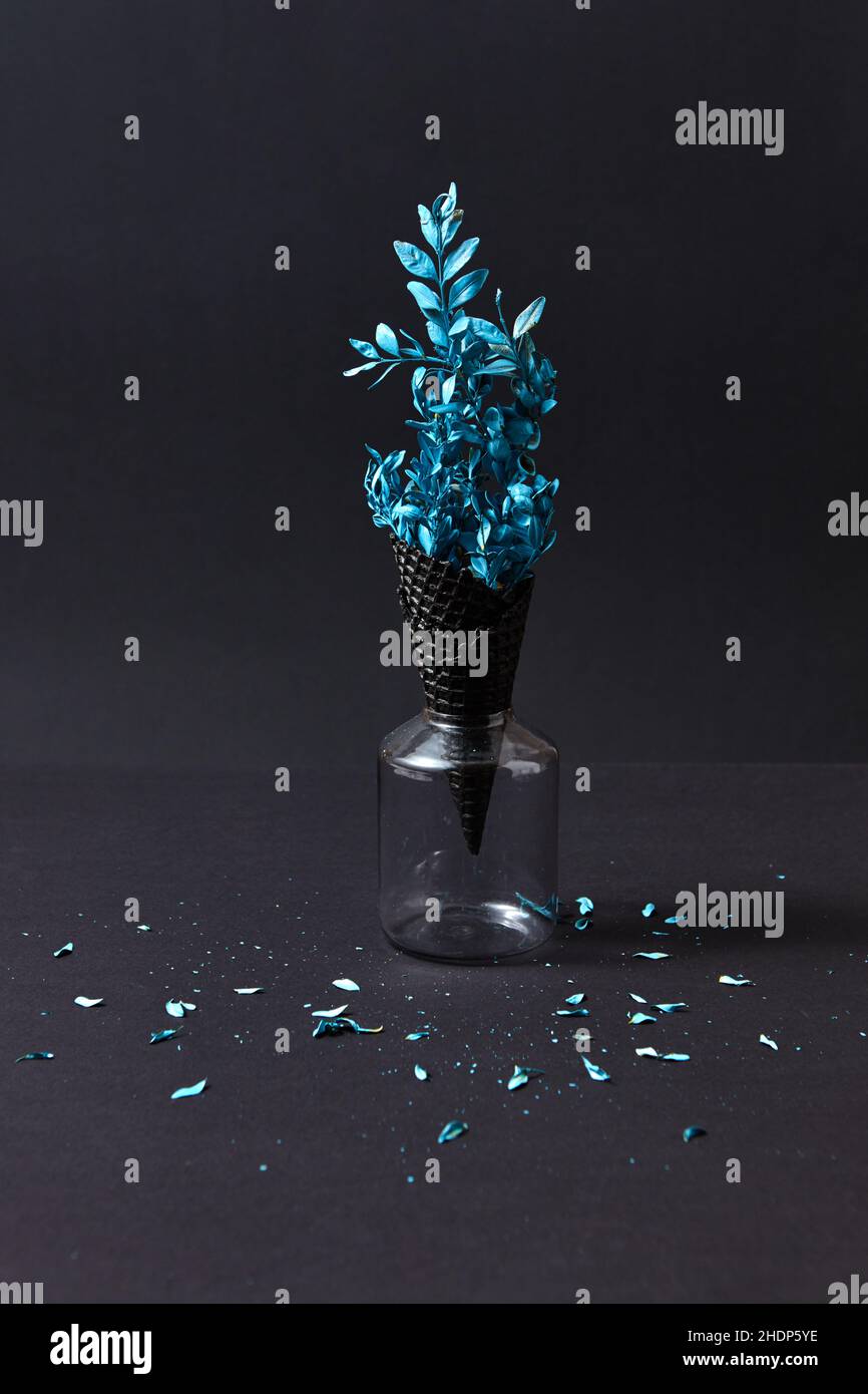 art, still life, ice cream wafer, arts, still lifes, ice-cream wafers ...