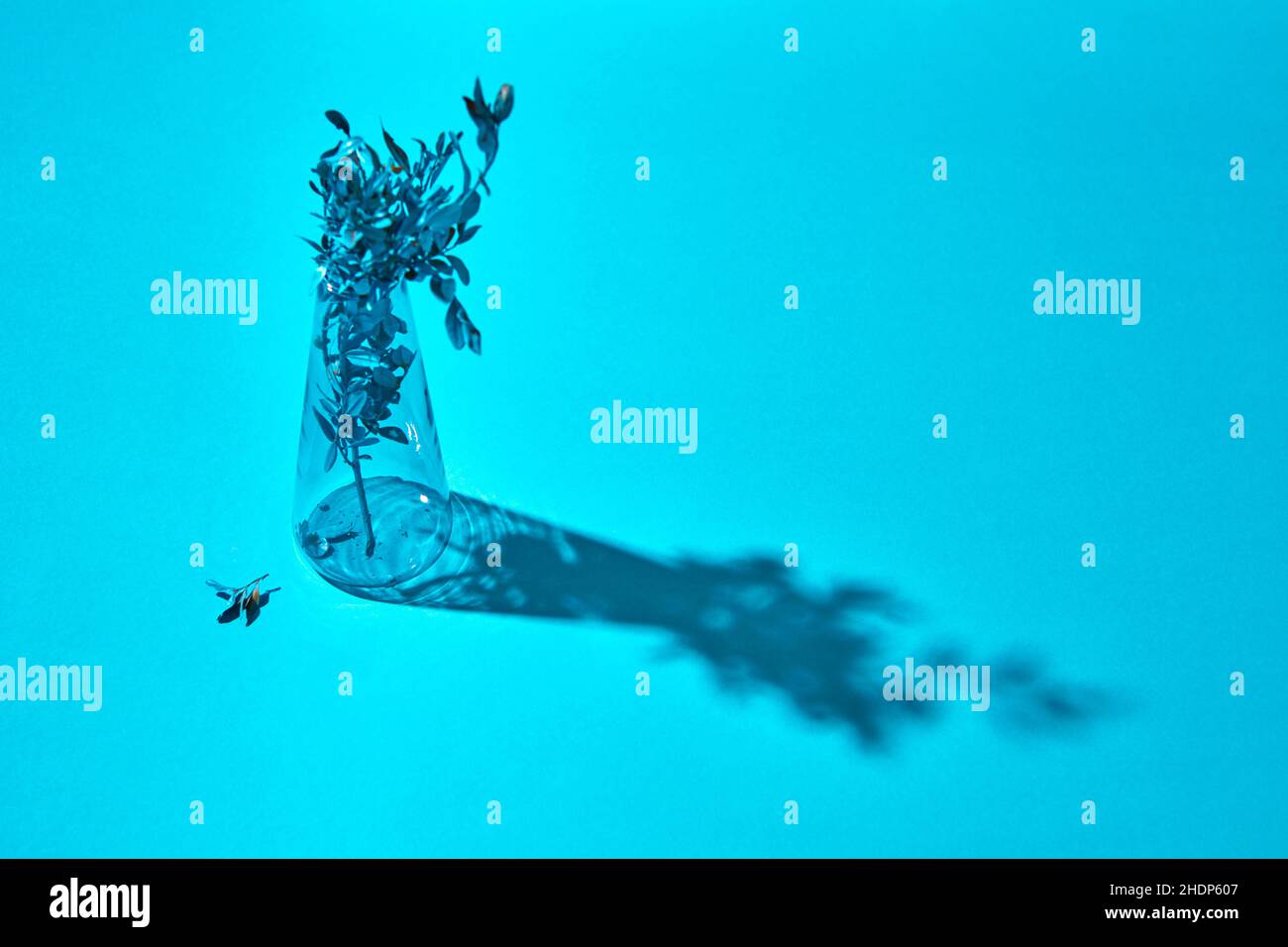 vase, still life, shadow, vases, still lifes, shadows Stock Photo - Alamy