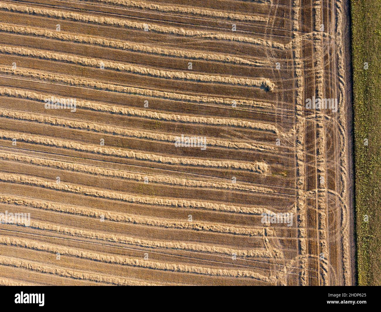 pattern, lines, hay harvest, patterns, line, hay harvests Stock Photo ...