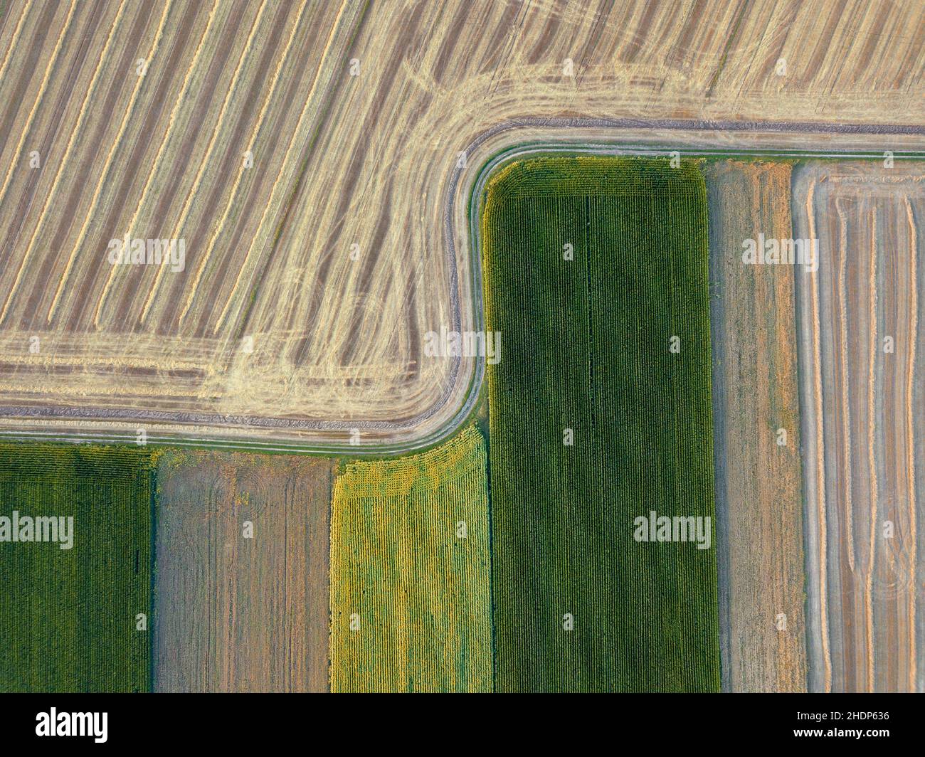 arable, agriculture, lines, arables, agricultures, line Stock Photo - Alamy