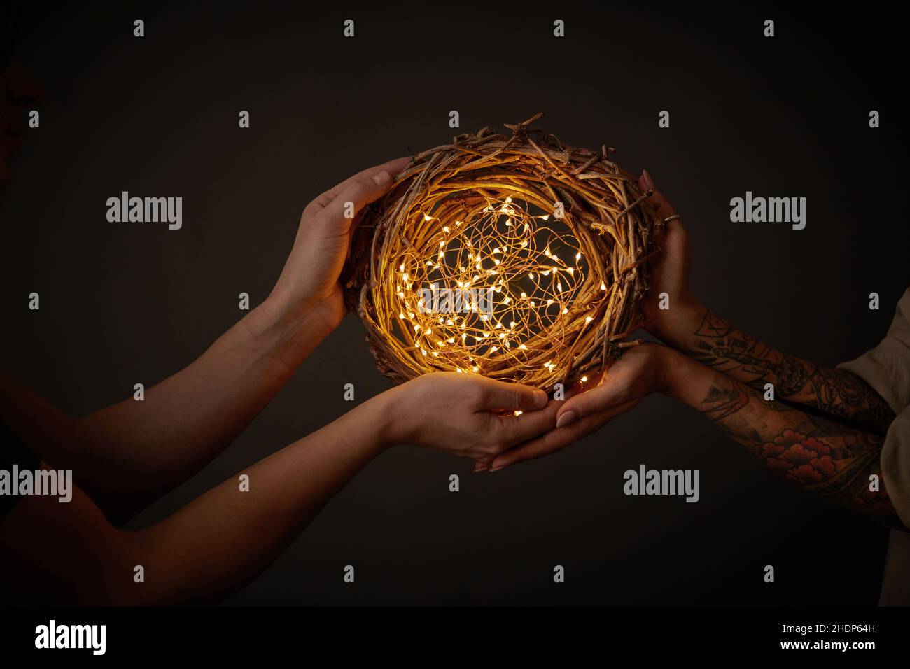 Hands holding birds nest hi-res stock photography and images - Alamy