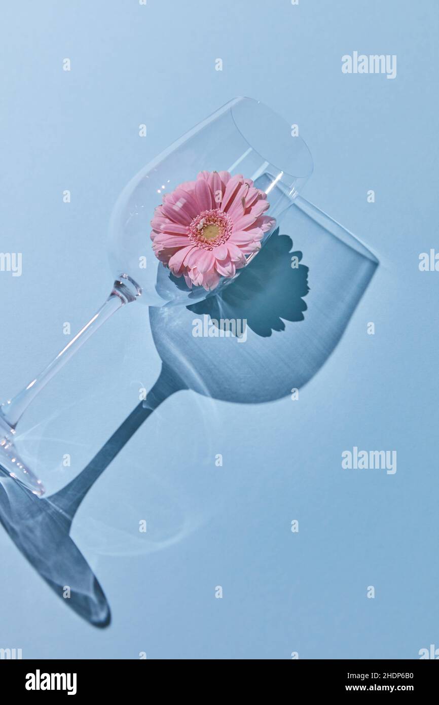 wine glass, shadow, glas ware, shadows Stock Photo - Alamy