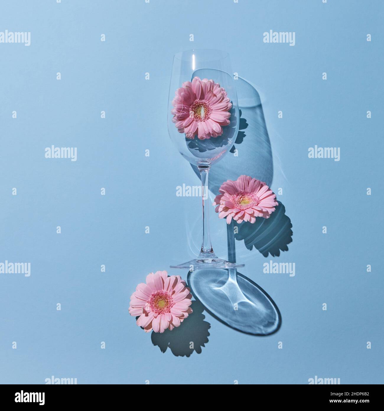 glass, shadow, gerbera, glass ware, shattered glass, shadows Stock ...