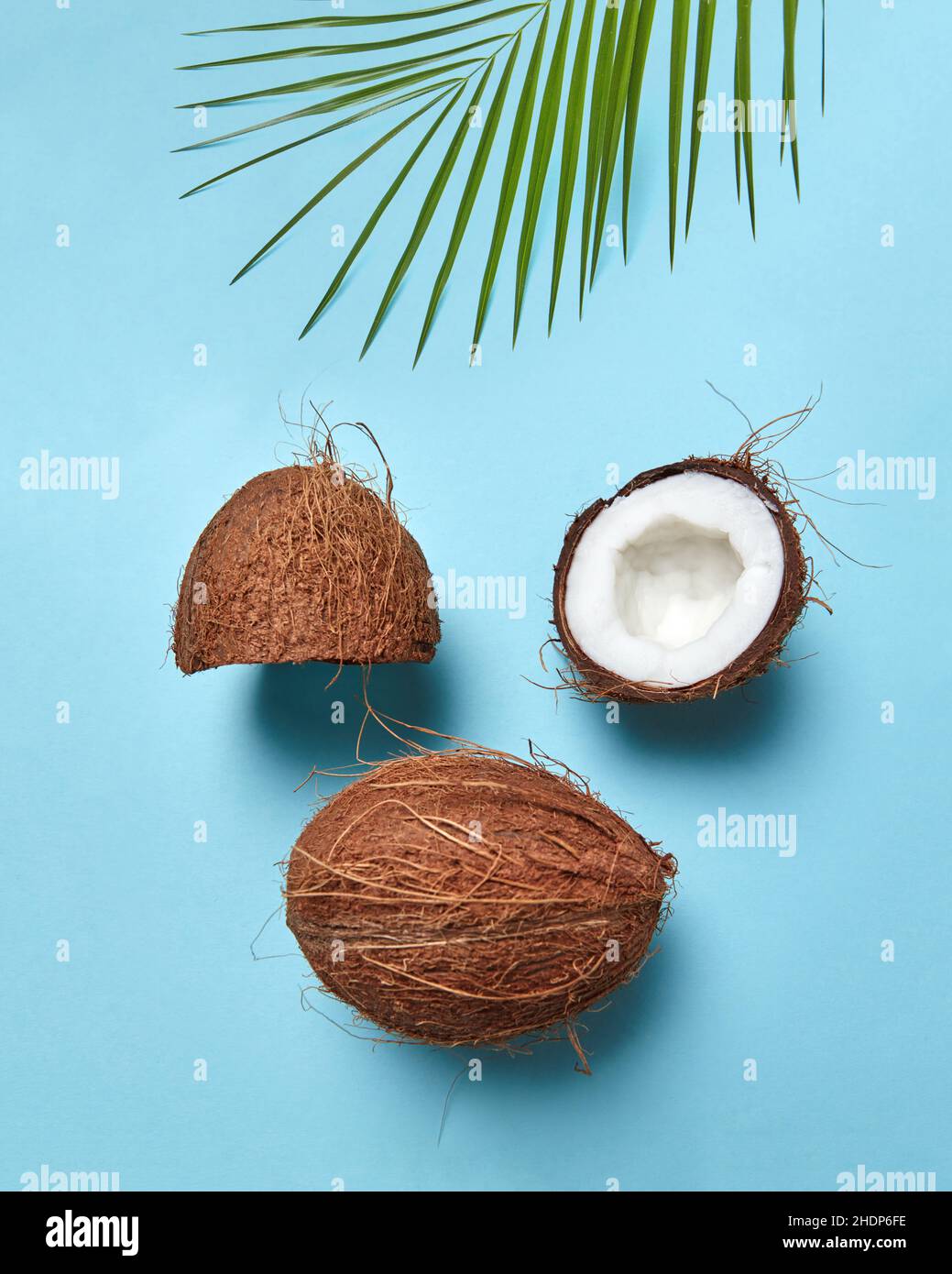 tropical, coconut, tropicals, coconuts Stock Photo - Alamy