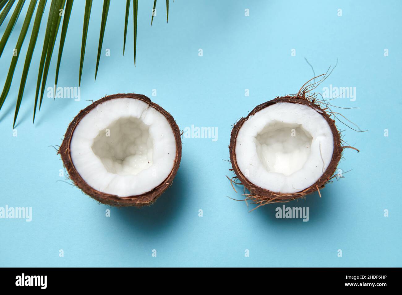 Coconut palm mark hi-res stock photography and images - Alamy