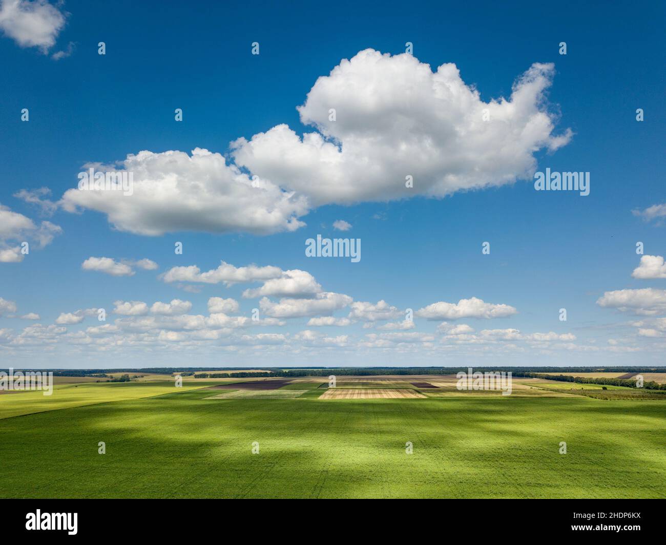 arable, agriculture, cultural landscape, arables, agricultures ...