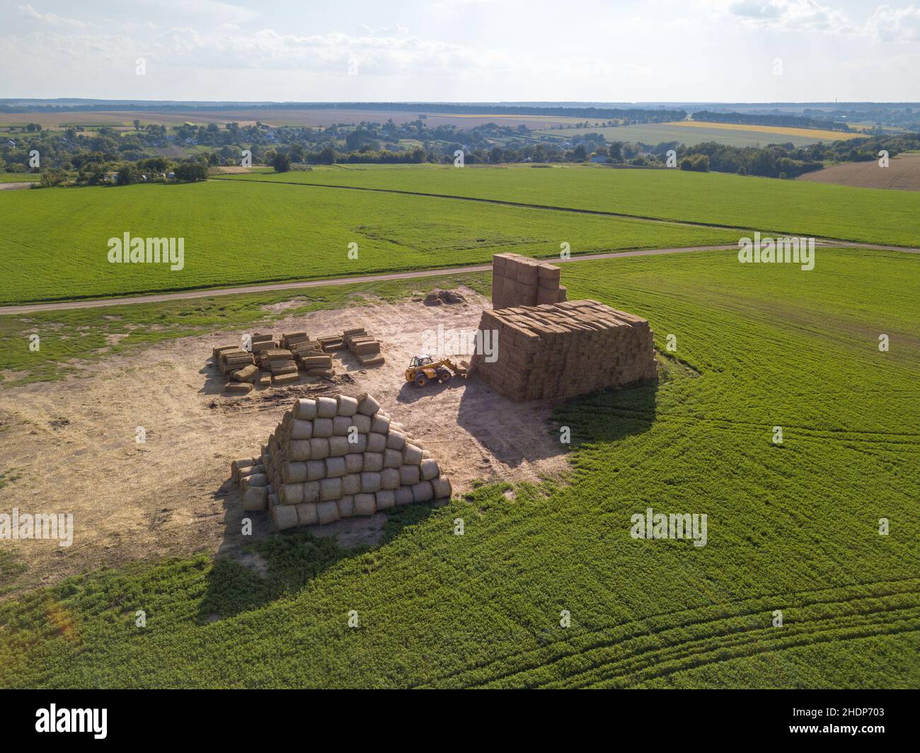 Agriculture organization hi-res stock photography and images - Alamy