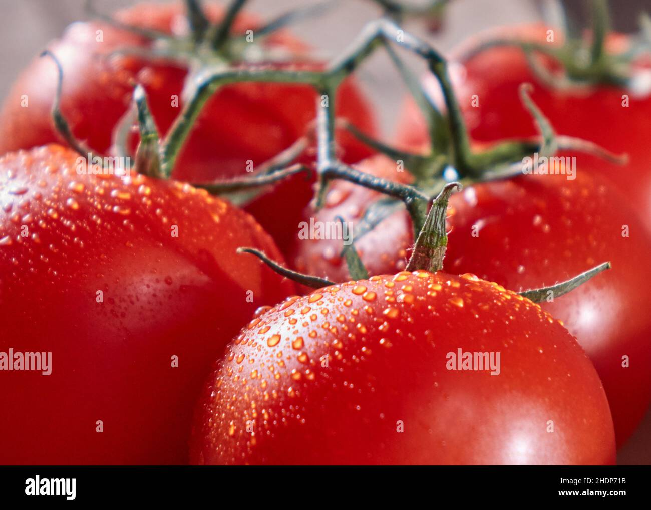 tomato, washed, tomatoe, tomatoes, tomatos, washeds Stock Photo - Alamy