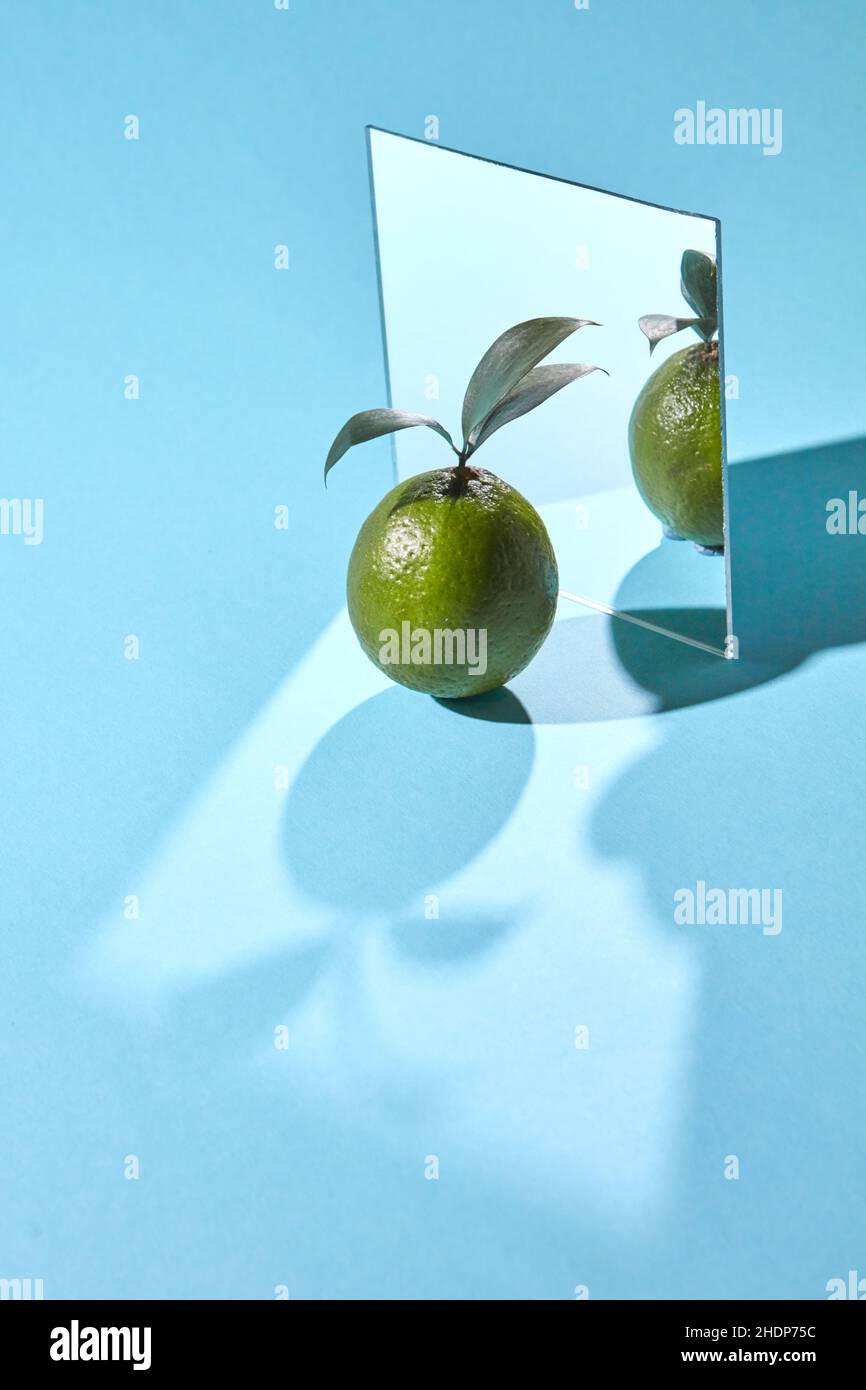 reflection, shadow, lime, reflections, shadows, limes Stock Photo - Alamy