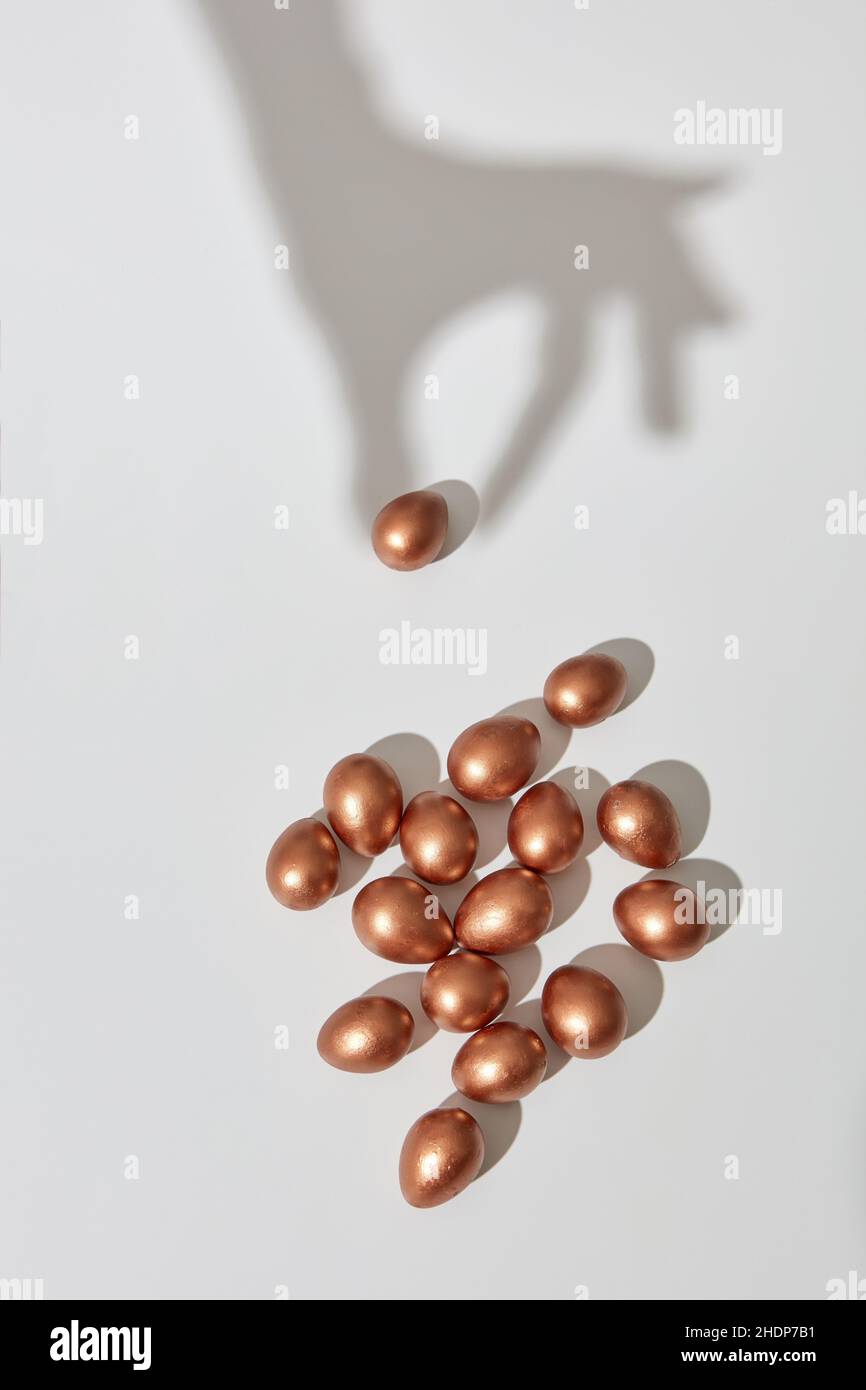 Chicken by hands shadow hi-res stock photography and images - Alamy
