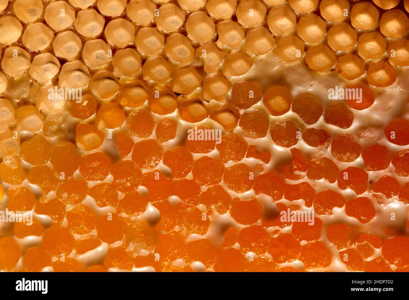honeycomb, honeycomb pattern, honeycombs, honeycomb patterns Stock ...