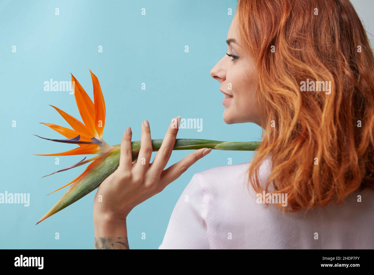 red hair, bird of paradise, red hairs, bird of paradises Stock Photo ...
