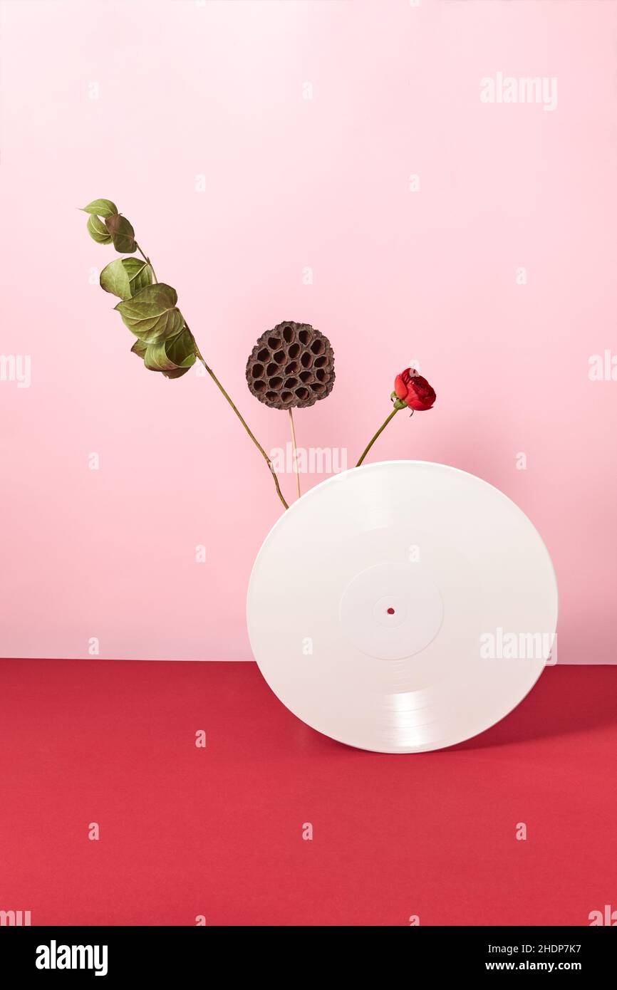 Vinyl designs hi-res stock photography and images - Alamy