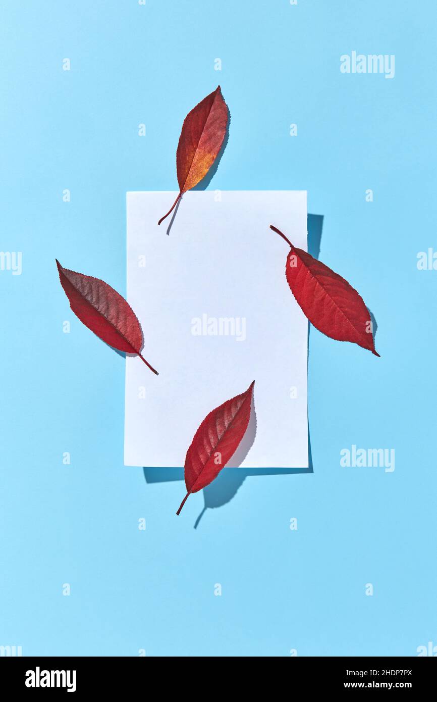 leaf, paper, leafs, papers Stock Photo - Alamy