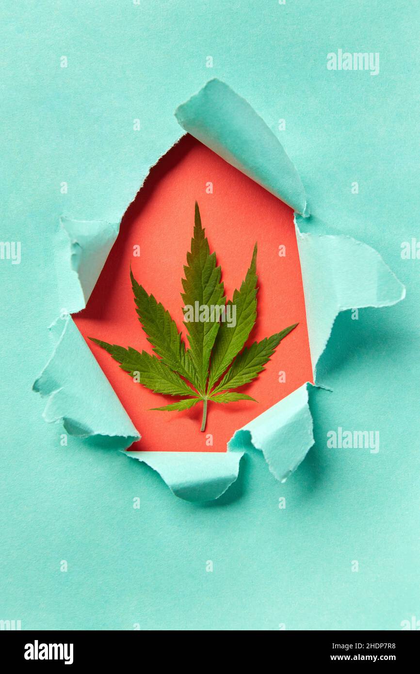 Open leaf hi-res stock photography and images - Alamy