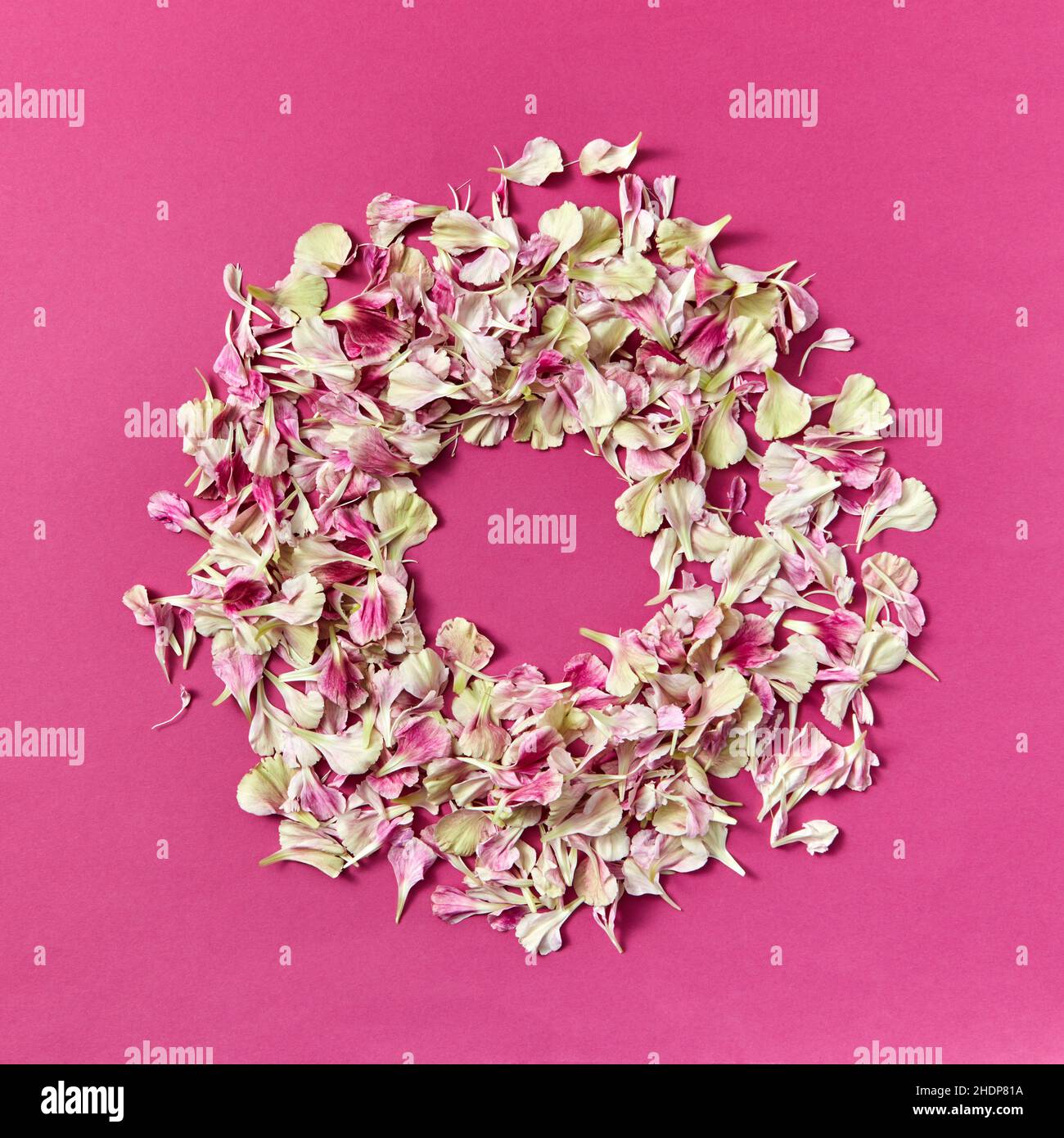 Circular flower hi-res stock photography and images - Alamy