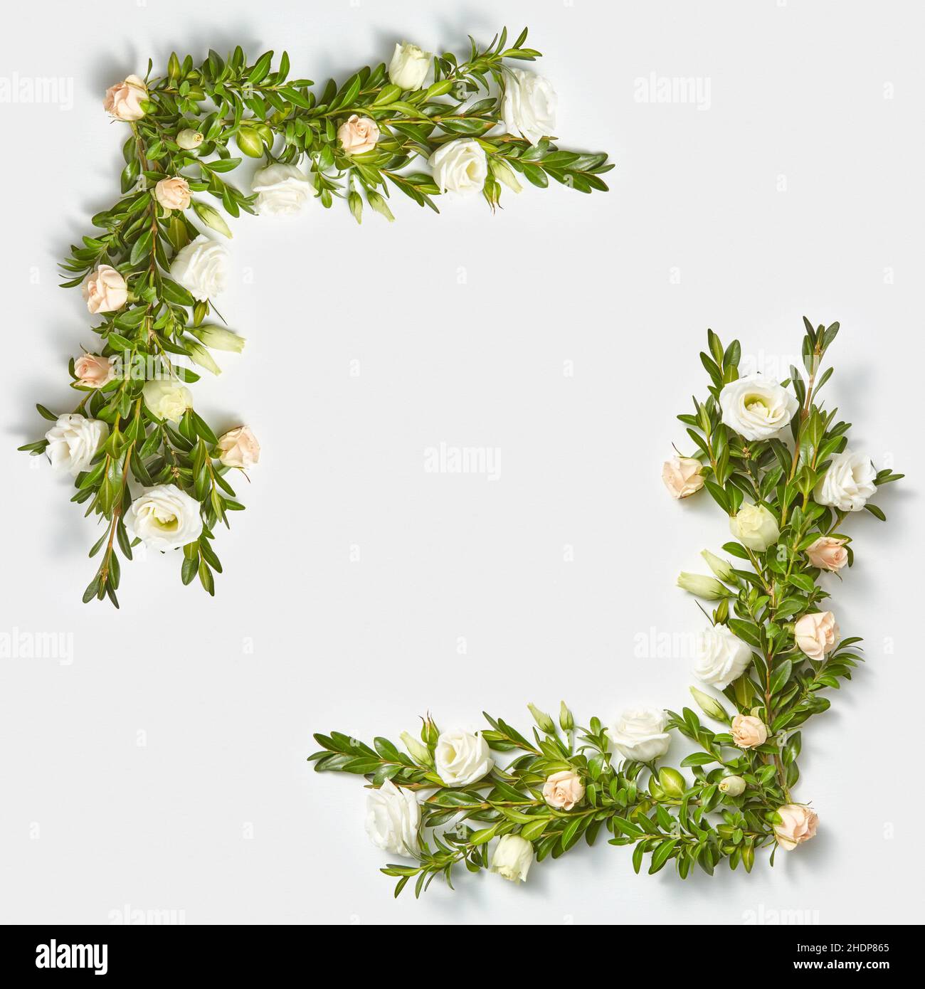 decoration, frame, flower arrangement, decorations, frames, flower ...
