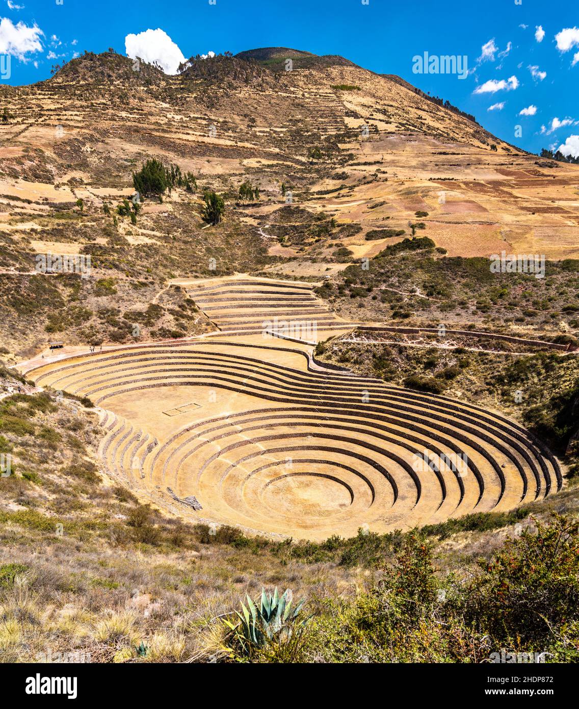 Agricultural terraces at Moray in Peru Stock Photo - Alamy