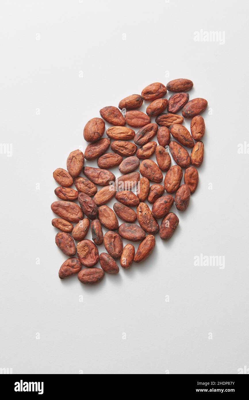 cocoa bean, cocoa beans Stock Photo - Alamy