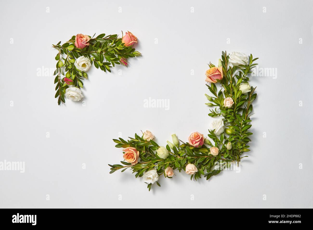 Rose and boxwood hi-res stock photography and images - Alamy