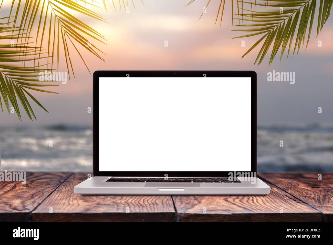 laptop, workplace, Digital nomad, computer, computers, laptops ...