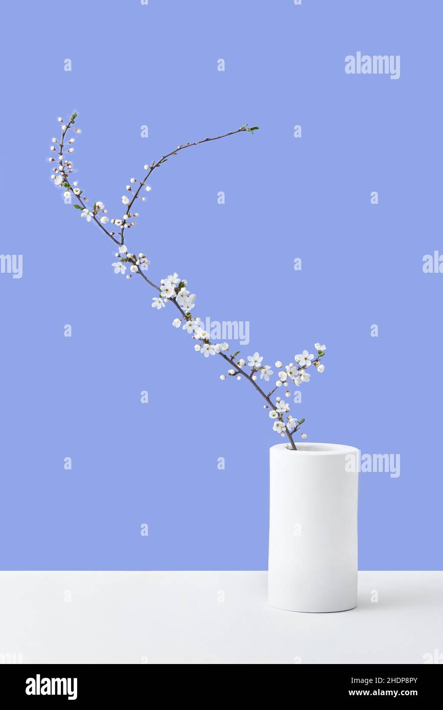 Vases of flowers hi-res stock photography and images - Alamy