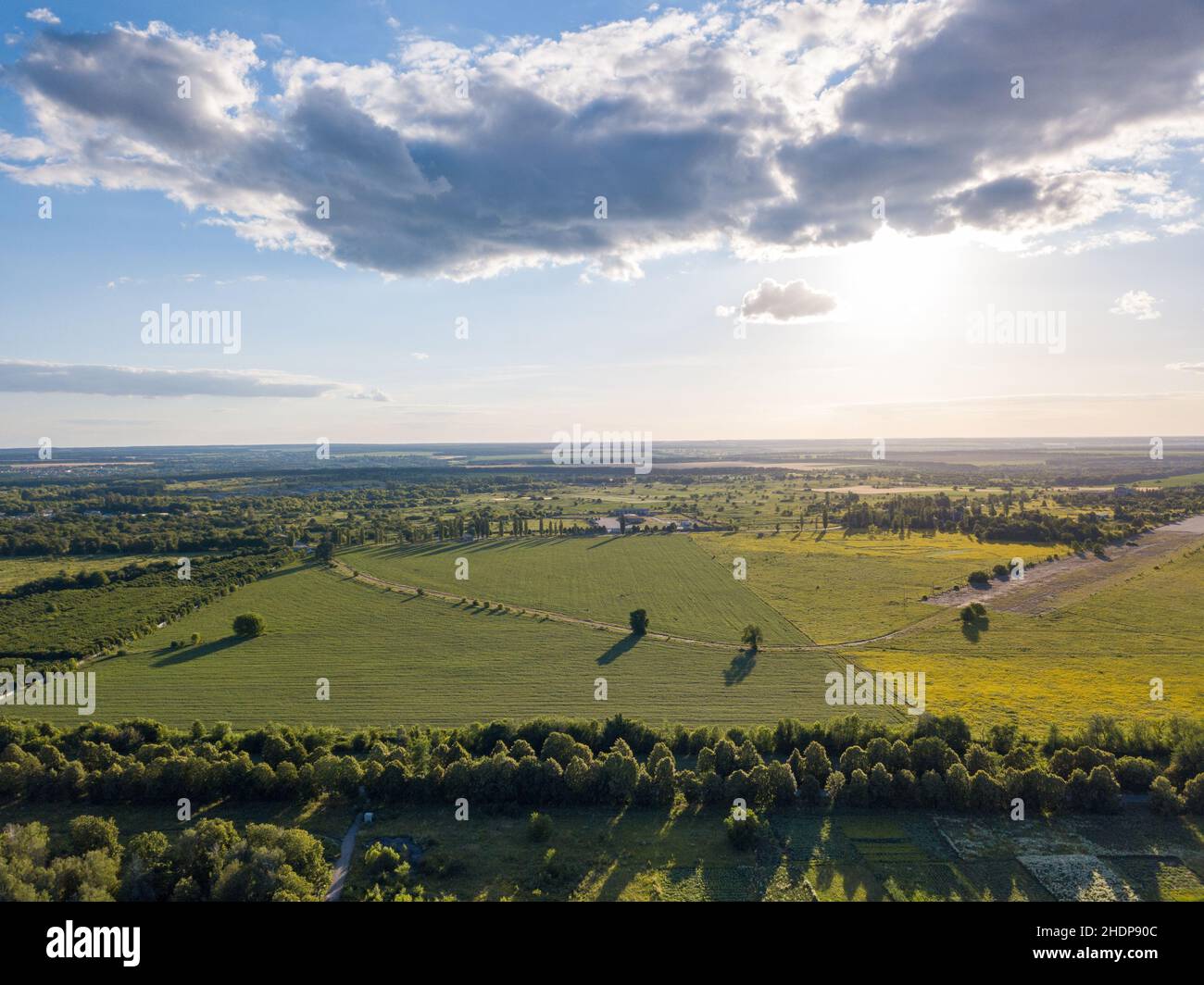 field, meadow, forest, cultural landscape, fields, meadows, forests ...