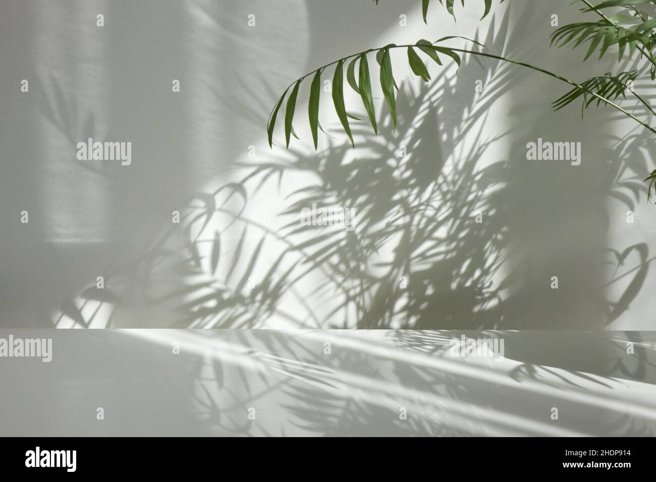 Shadow houseplants hi-res stock photography and images - Alamy