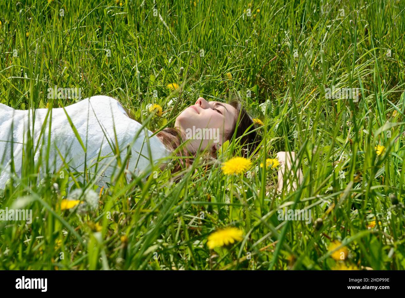 young woman, meadow, summer, relax, girl, girls, woman, young women ...