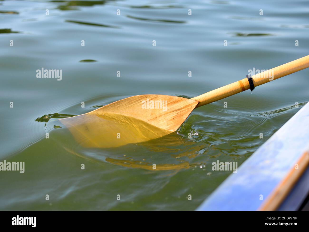 Rowing Oars In Water