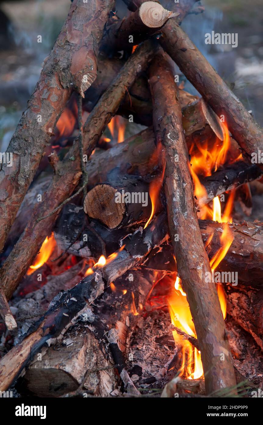 Firewood for campfires hi-res stock photography and images - Alamy