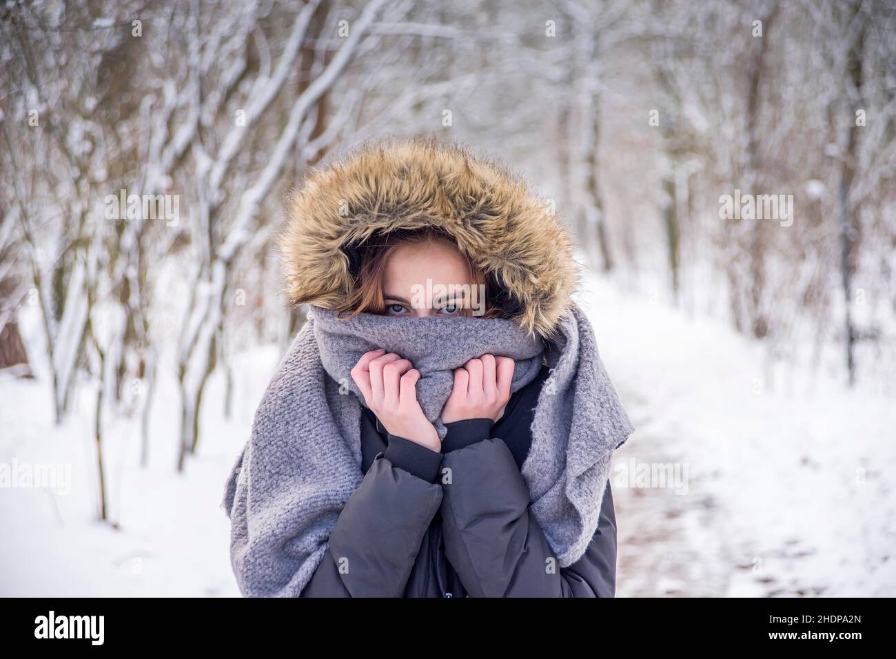 winter, walk, cold, shivering, winters, walks, colds Stock Photo - Alamy