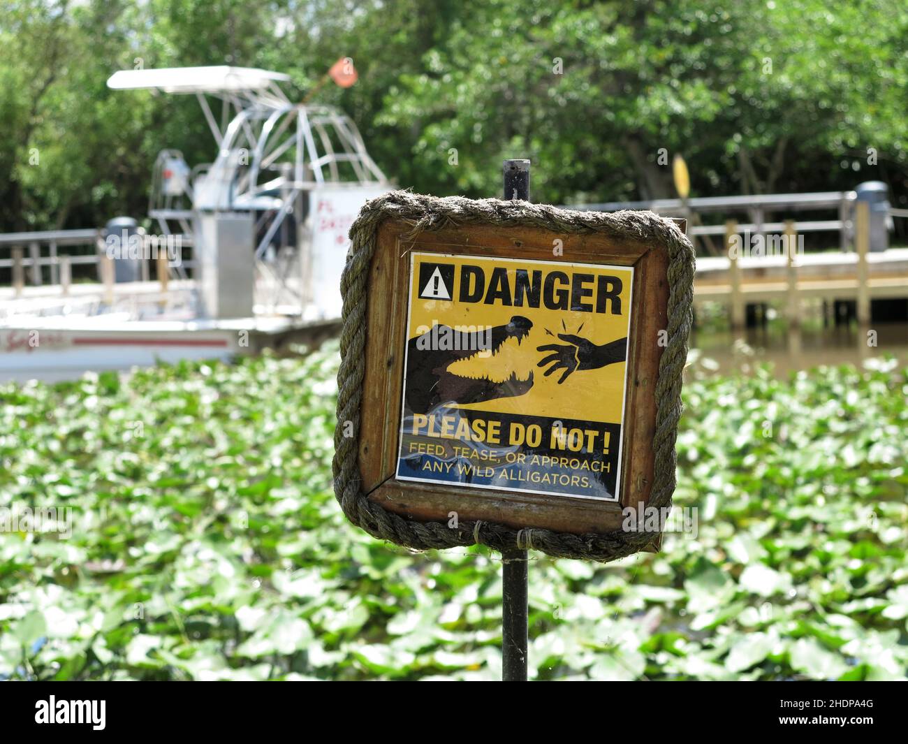 warning sign, alligator, everglades national park, warning signs ...