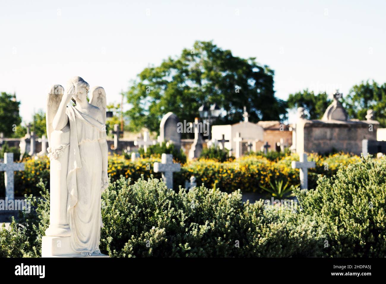 cemetery, majorca, angel sculpture, cemeteries, majorcas, angel ...