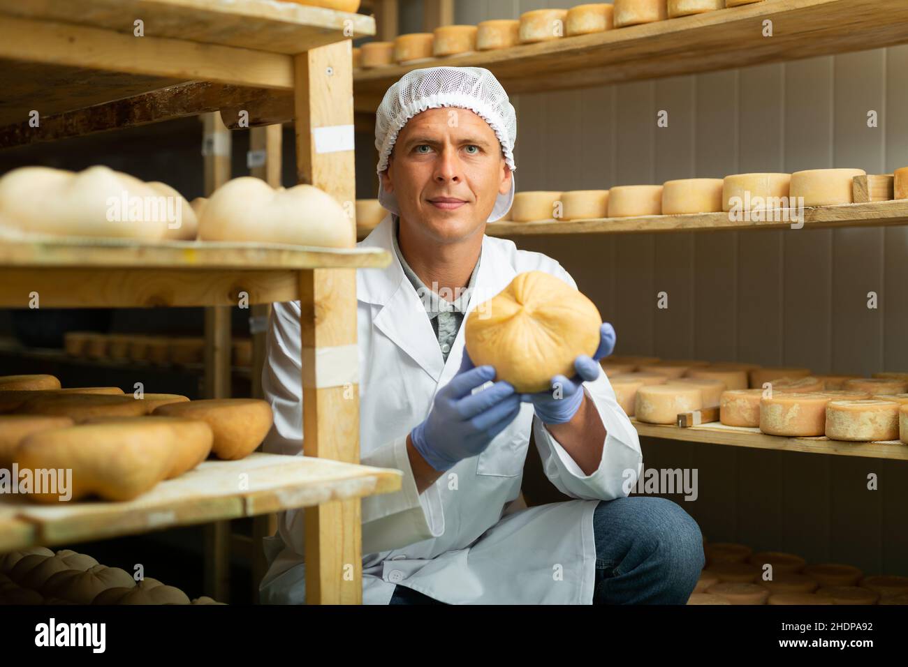 Cheese maker controlling maturing process of cheese wheels Stock Photo ...
