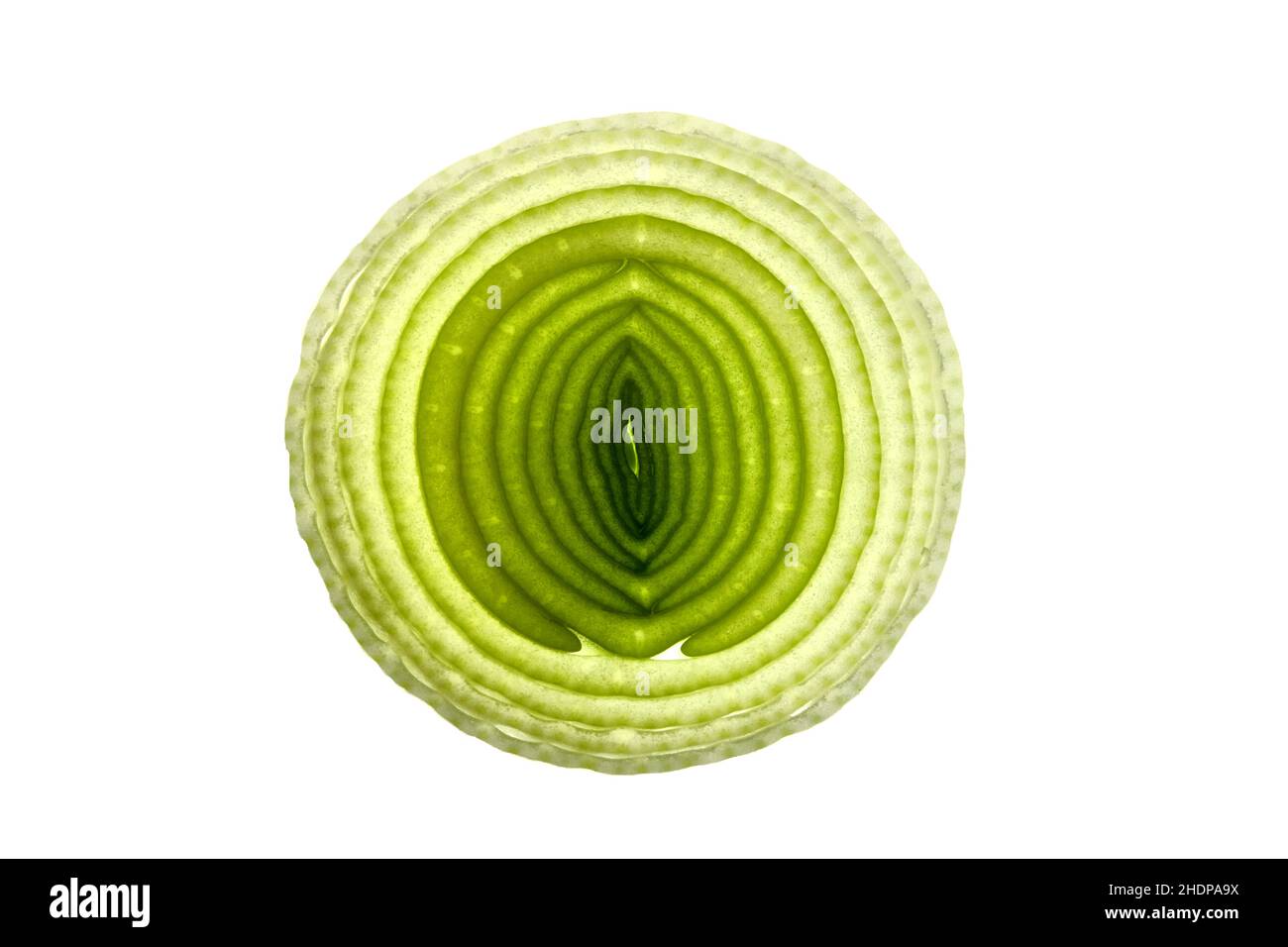 colors & shapes, leek, colors and shapes, leeks Stock Photo - Alamy