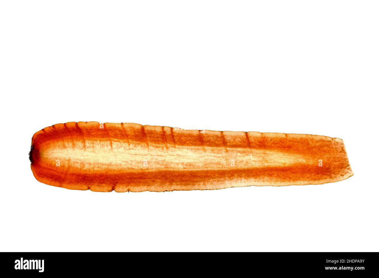 slice, structure, carrots, slices, structures, carrot Stock Photo - Alamy