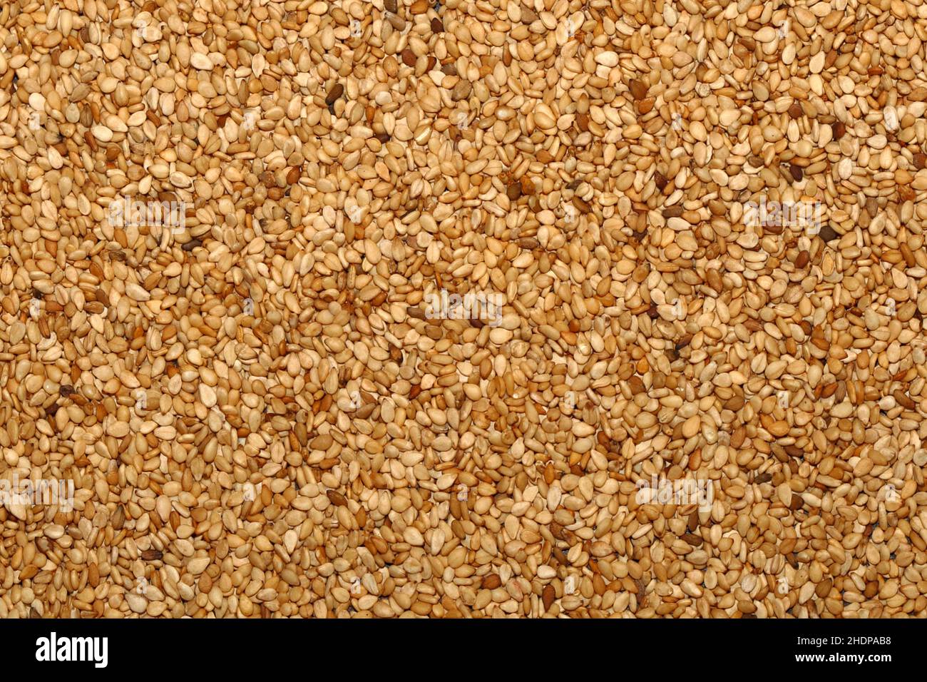 sesame, sesame seeds, sesames, sesame seed Stock Photo - Alamy
