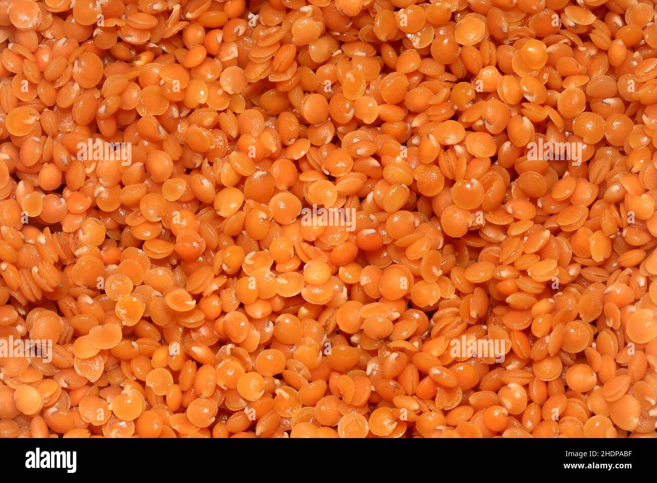 lentil, red lentils, lentils, red lentil Stock Photo - Alamy