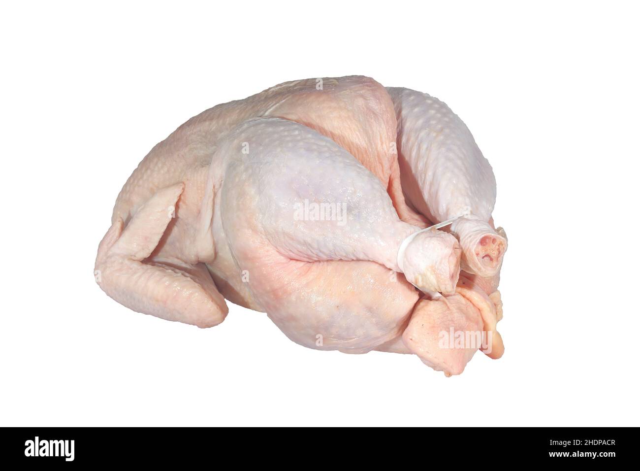 chicken, stewing chicken, chickens, stewing chickens Stock Photo - Alamy