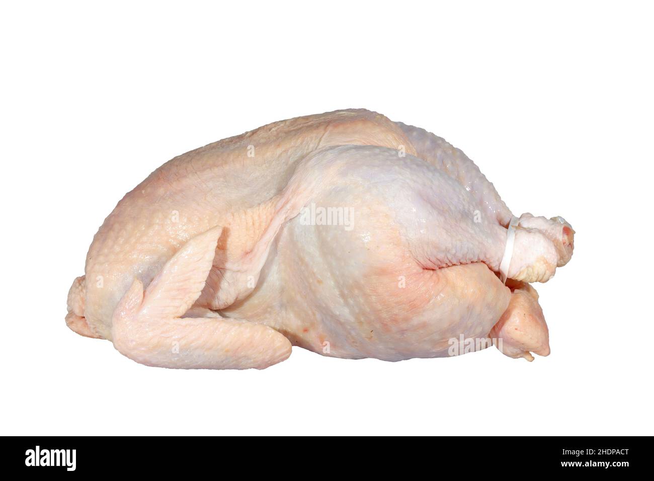 Stewing chickens hi-res stock photography and images - Alamy