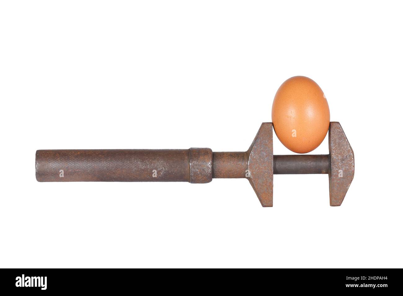 chicken egg, fragile, chicken eggs, fragiles Stock Photo - Alamy