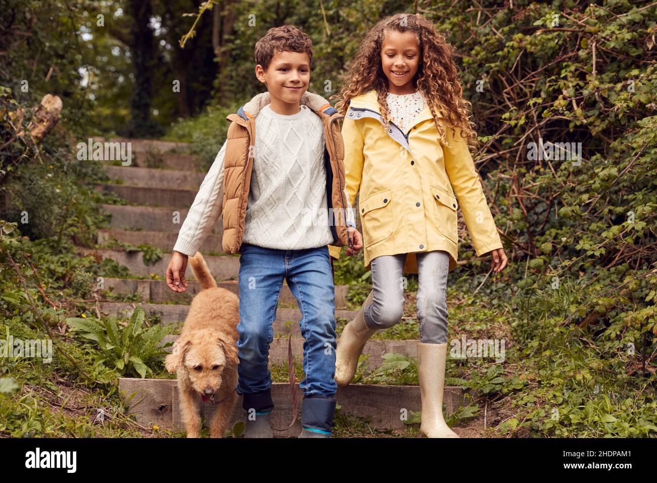 walk, friends, siblings, walk the dog, walks, friend, walk the dogs ...