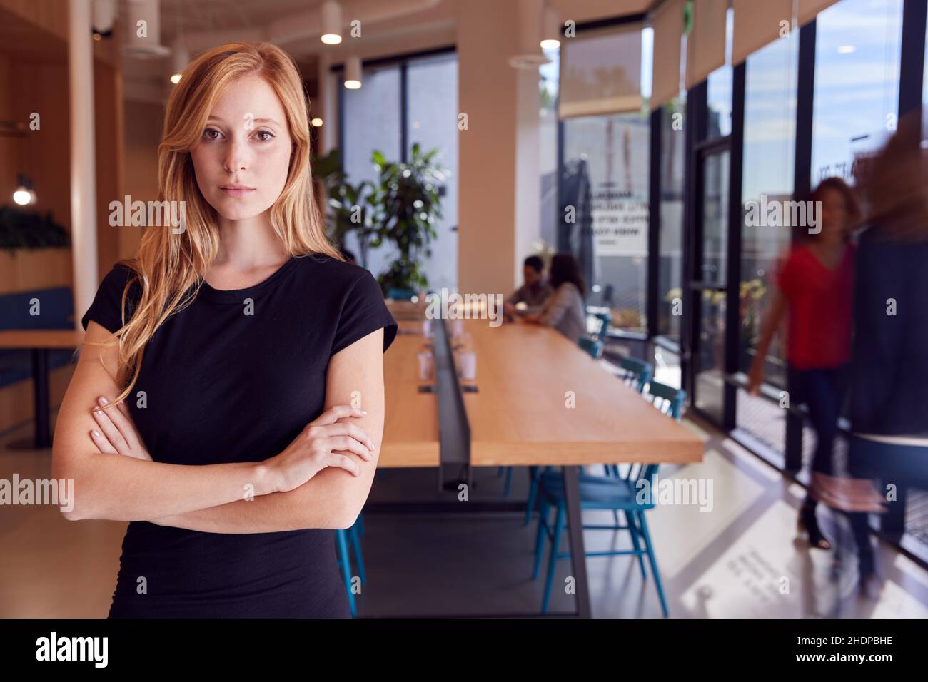 woman, office, serious, portrait, female, ladies, lady, women, offices ...