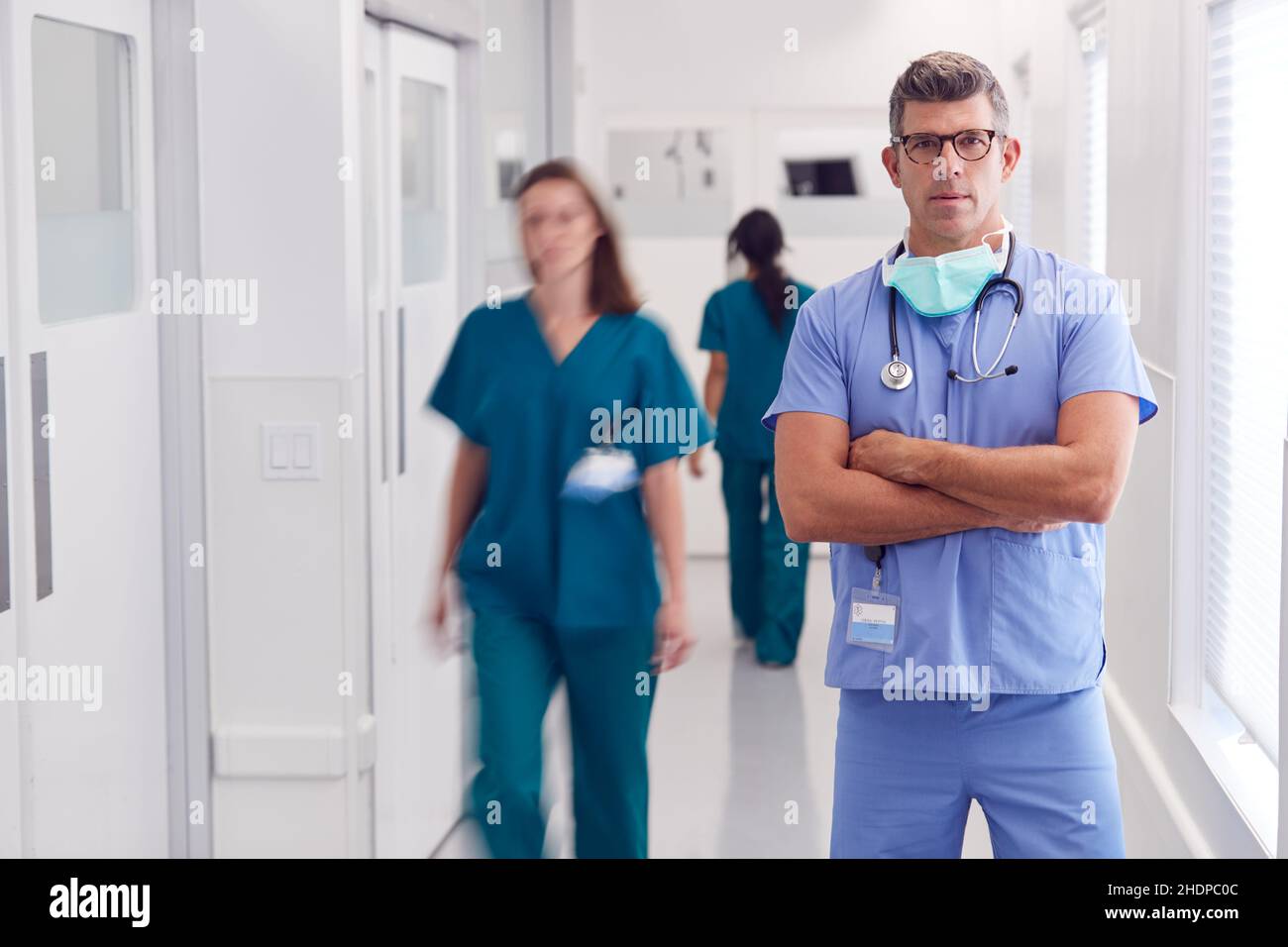 doctor, portrait, hospital, surgeon, doctors, portraits, clinic ...