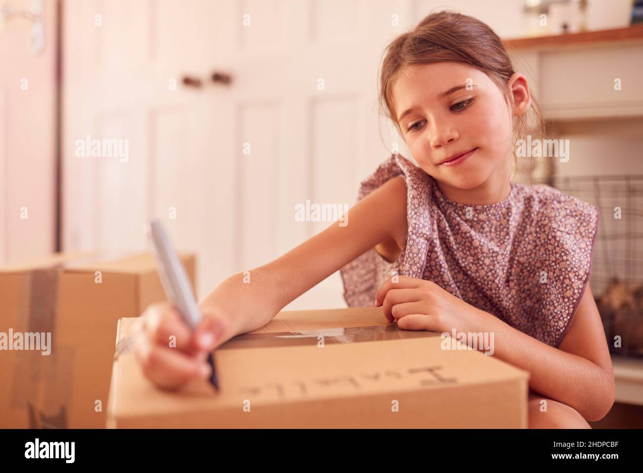 girl, relocation, moving, moving box, girls, relocations, movement ...