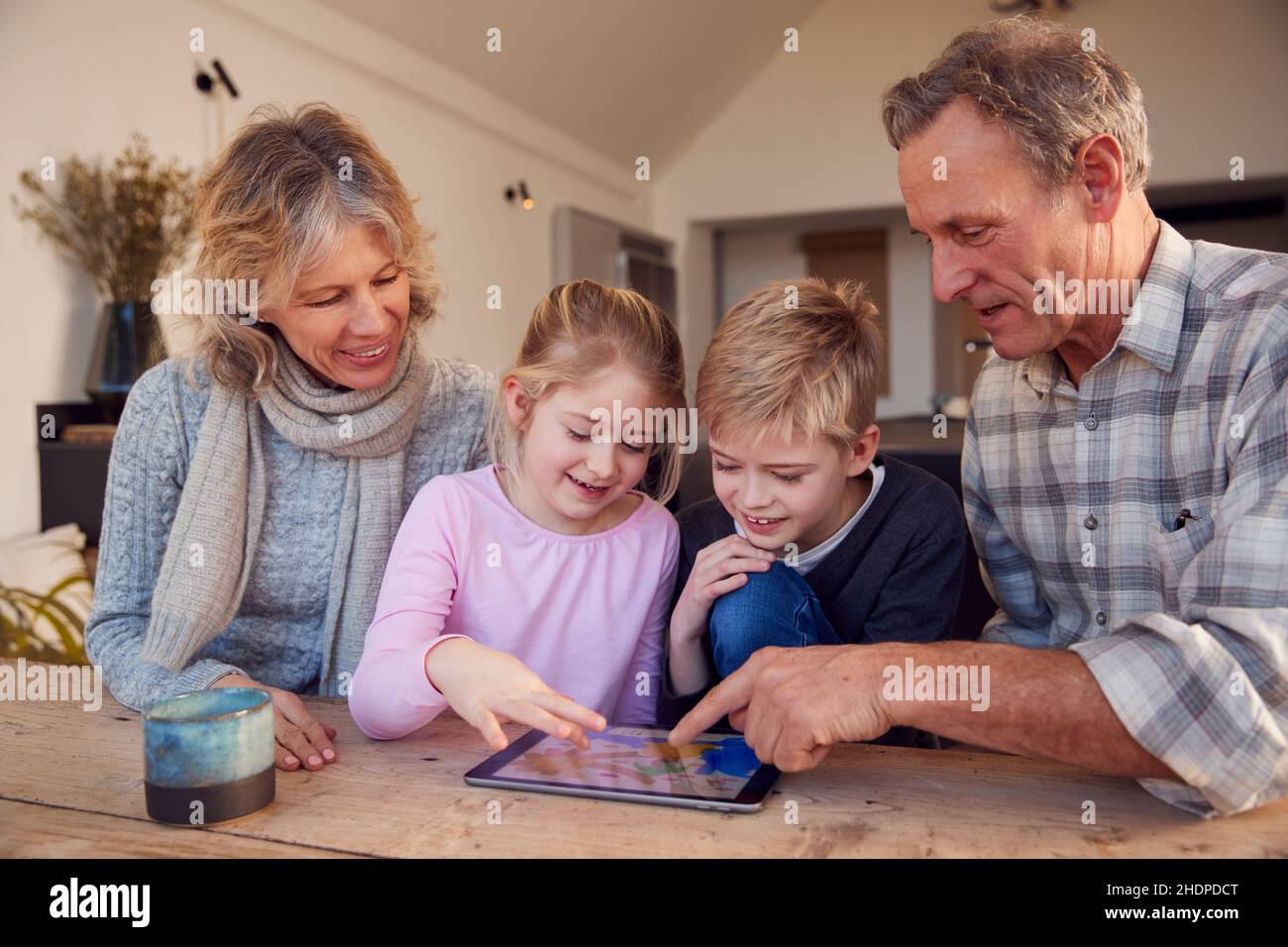 grandson, grandparent, video game, grandsons, grandparents, computer ...