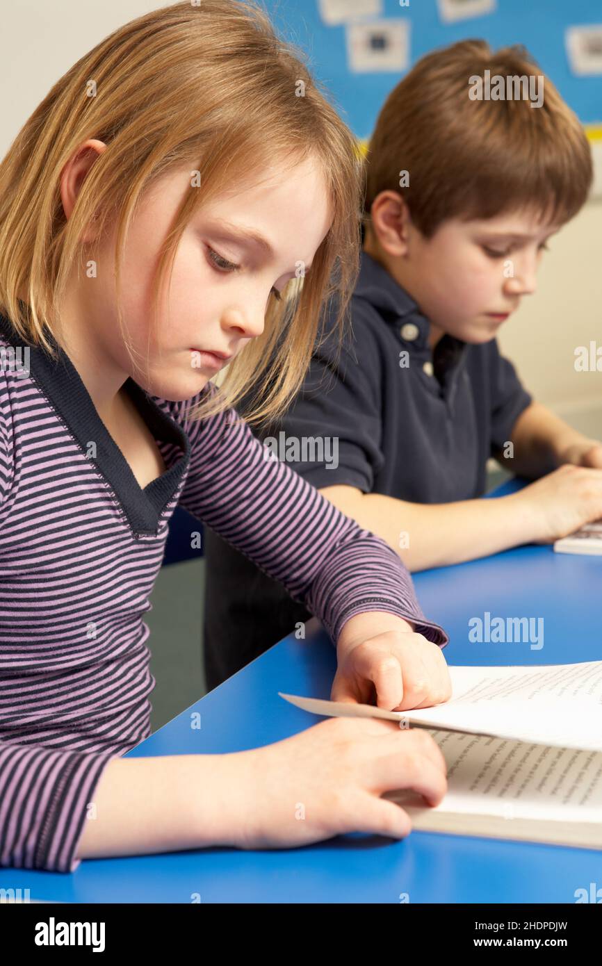 school, learning, pupils, schoolgirl, concentrated, schools, school ...